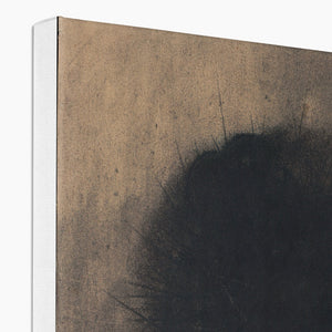 Armor, Odilon Redon, 1891